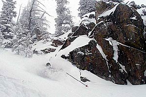 Best Photo of the Year