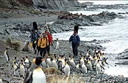 Warren Miller's Storm