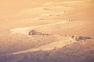 First Tracks Pictures