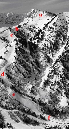 Speed Thrills: The Olympic Downhill Course