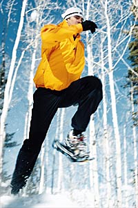 A Natural Fit - Seven Key Benefits