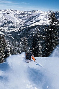 Details: Wasatch Powderbird heliskiing | SKI
