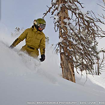 Survival Turns with A.J. Cargill