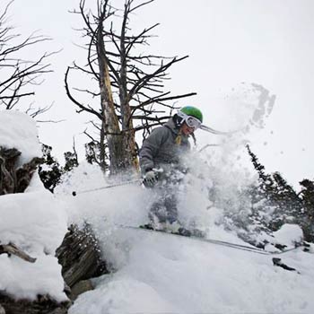 Keep It Level: Expert