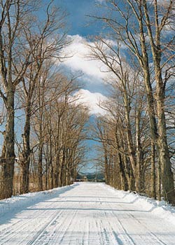 How to Slay a Pillow Line