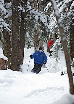 The Truth: Freeskier Marc-Andre Belliveau