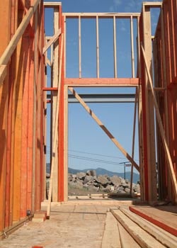 Skiing by Braille (Gallery)