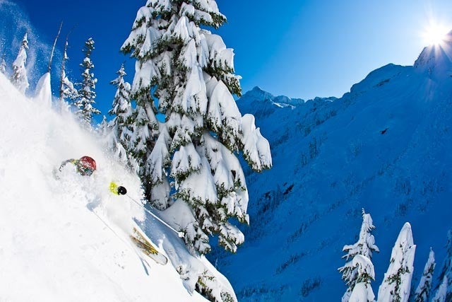 The Ultimate Powder Gallery