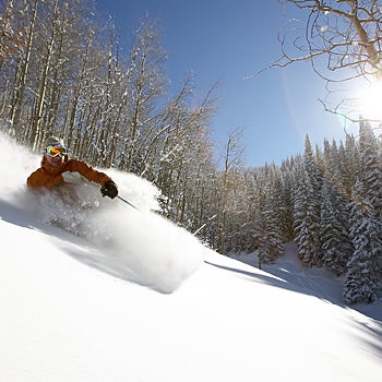 The Ultimate Powder Gallery