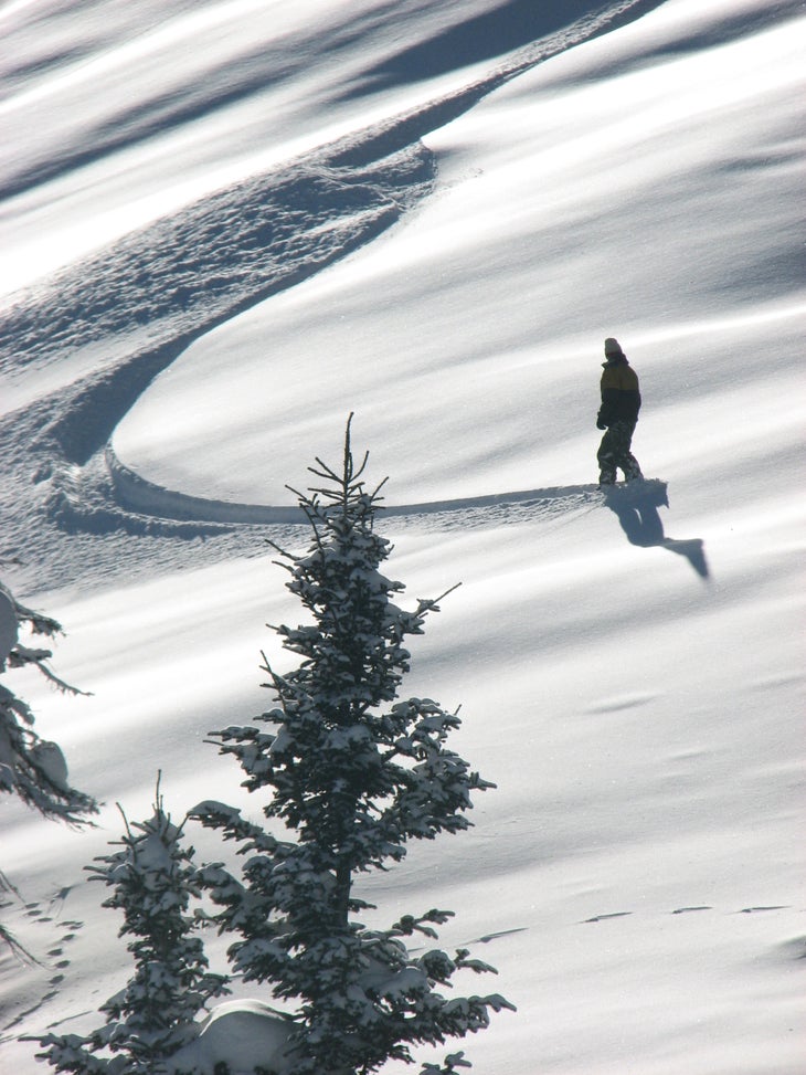 The Ultimate Powder Gallery