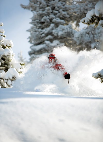 The Ultimate Powder Gallery