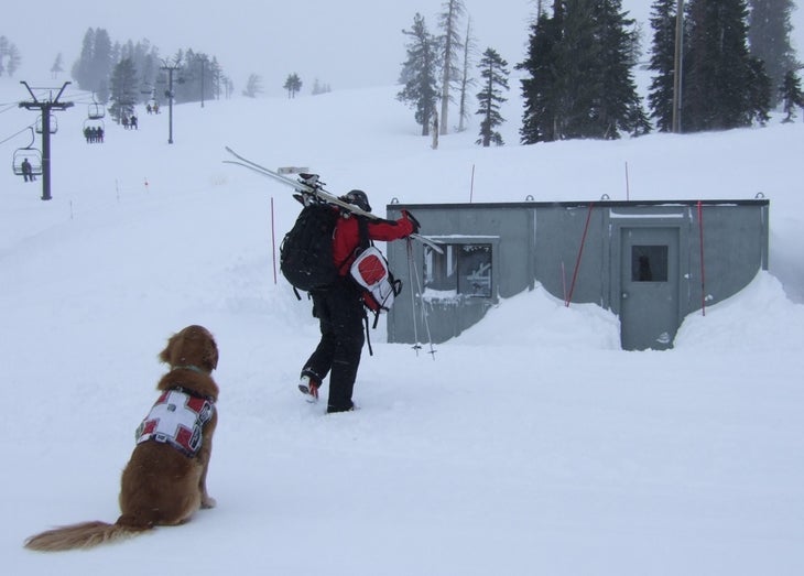 Squaw Dogs Head to Vancouver Olympics