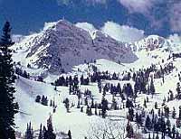 The Game of G.N.A.R: Candidate Interviews