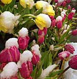 Chairlift Interview: Photographer Jay Beyer