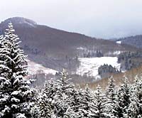 Mt. Hood Summer Ski Camps