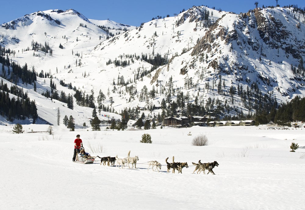 Squaw Valley Dog Sledding | SKI