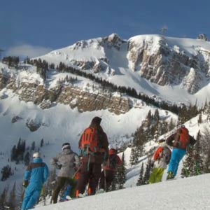 Springtime Shredding