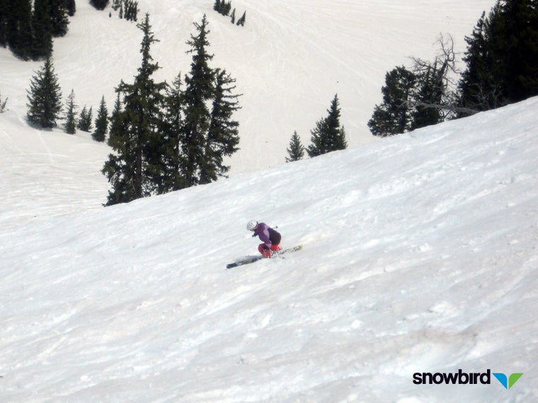 Inside Line: Snowbird, UT