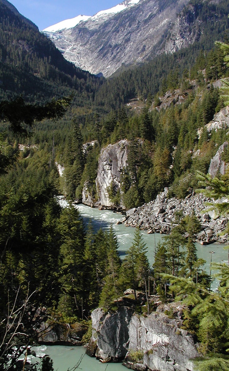 From Mountains to Rivers: The Best Whitewater Rafting