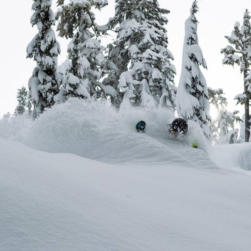 Powder Day: Homepage | SKI
