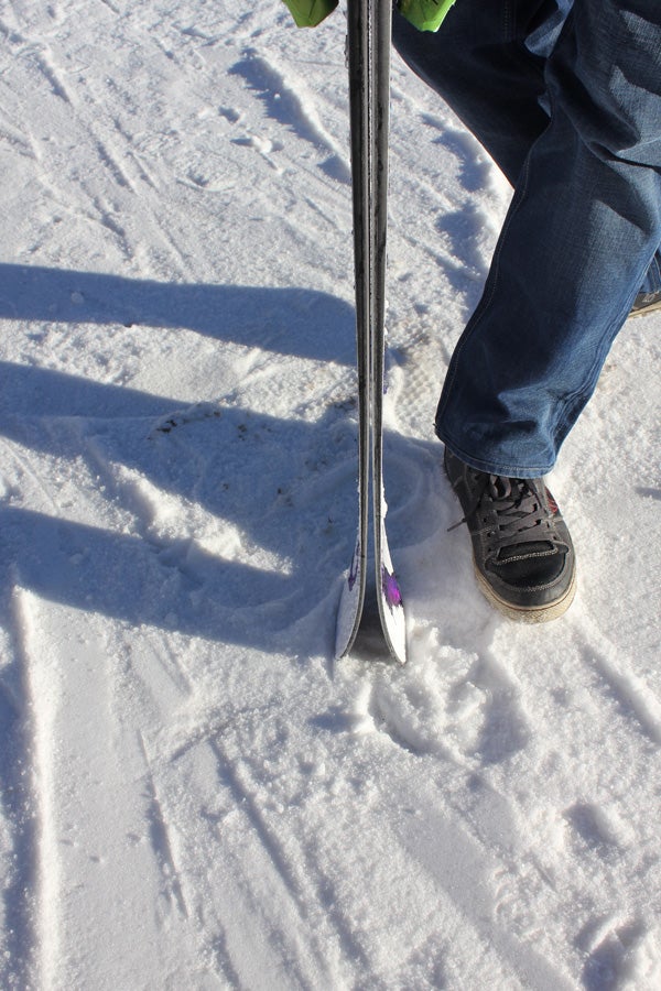 Drew Tabke's Giant Pacific Octopus