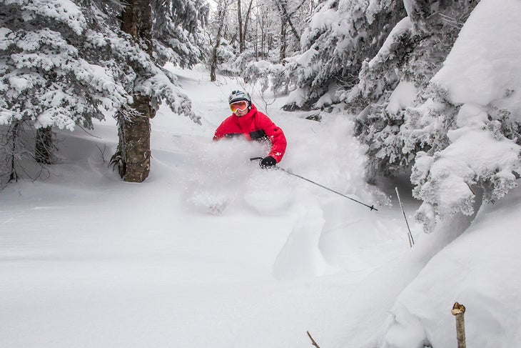 Best Powder Shots