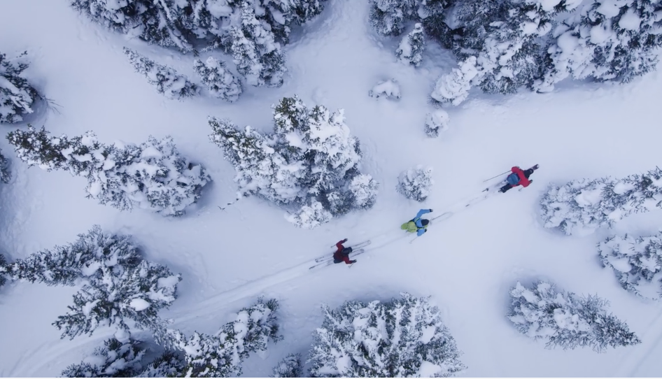 Patagonia Presents: Jumbo Wild