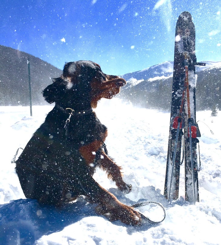 Powder Hound Photo Contest