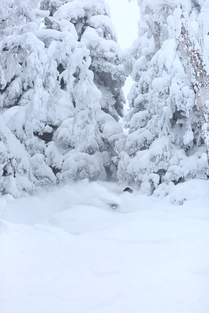 Best in the East 2018: Snow