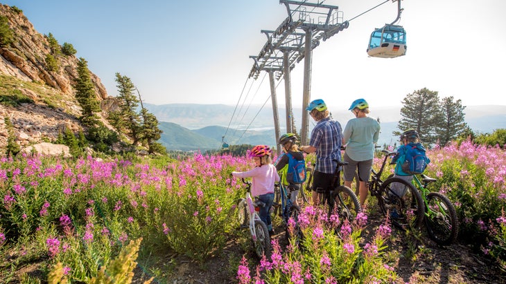 Summer in the Mountains: Snowbasin, Utah