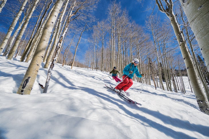 The Secret To Tree Skiing