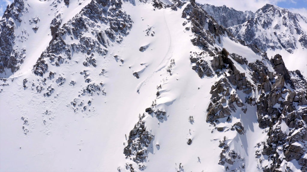 ‘Scratching the Surface’ with Josh Daiek