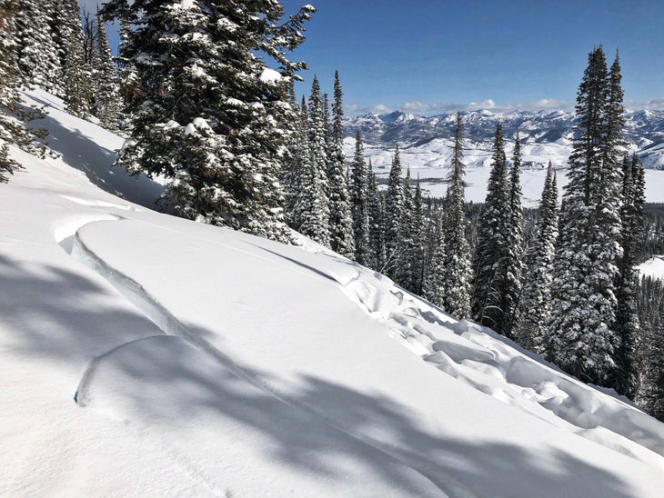 How Rare are Earthquaked-Caused Avalanches?