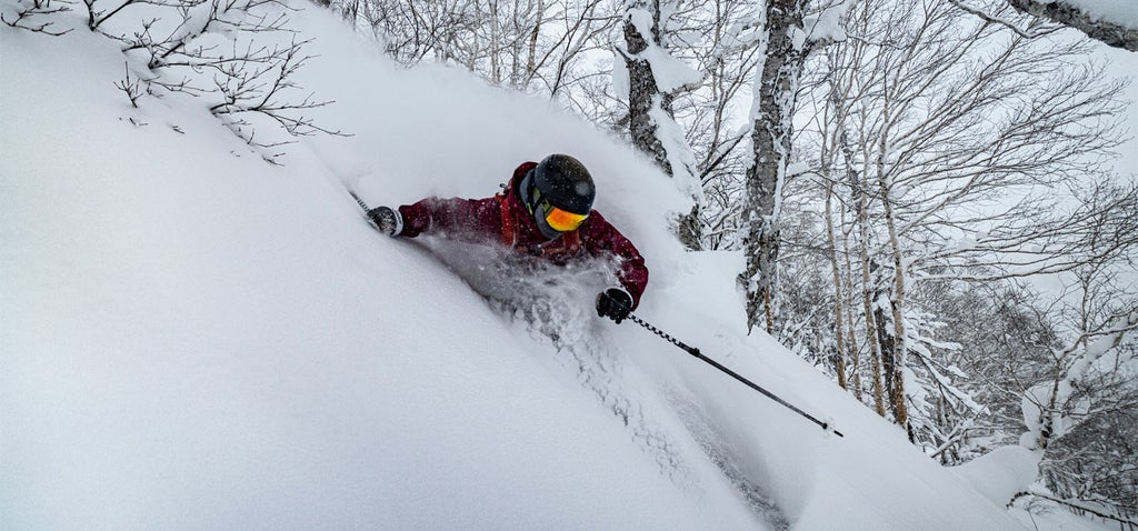 Experience: Unlimited Demos | SKI