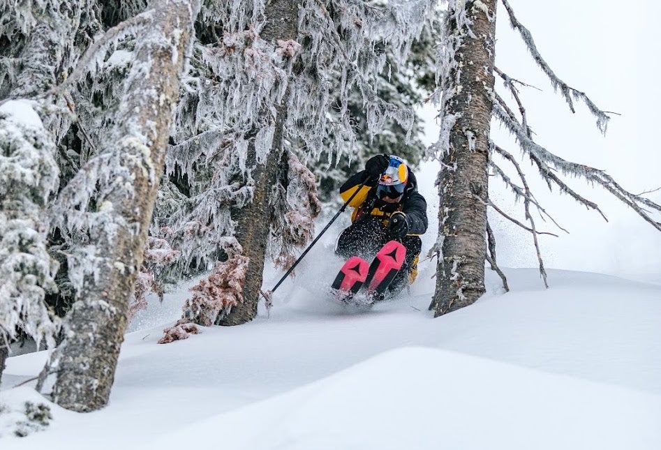 How to Avoid Skiing Into a Tree | SKI