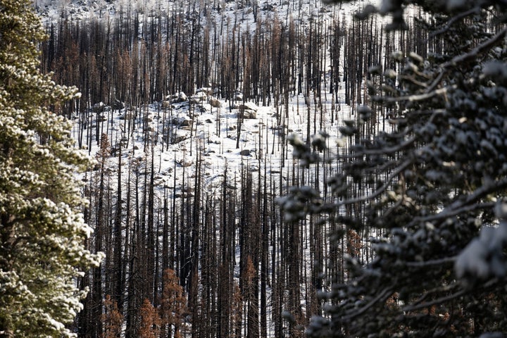 Lessons Learned From California's Caldor Fire | SKI