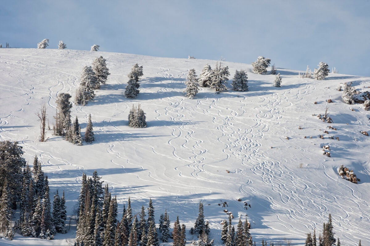 Netflix's Reed Hastings Buys Stake in Powder Mountain | SKI
