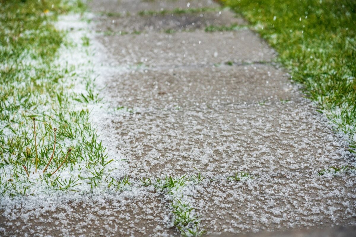 July Snow in Philadelphia Breaks 154-Year-Old Record