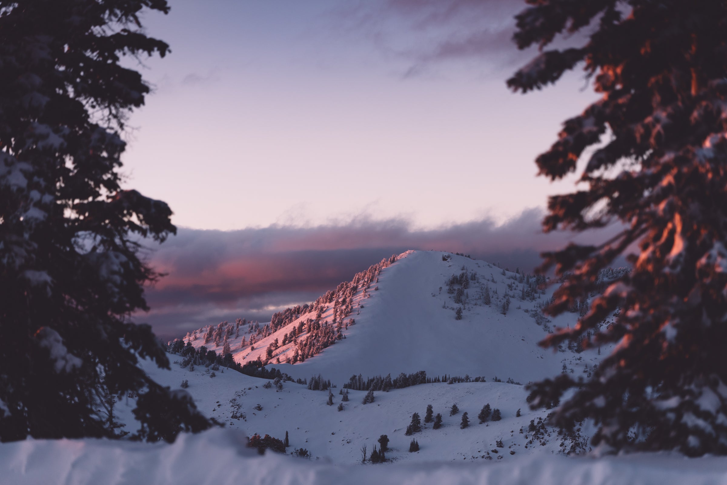 Powder Mountain To Open On-Mountain Art Museum | SKI