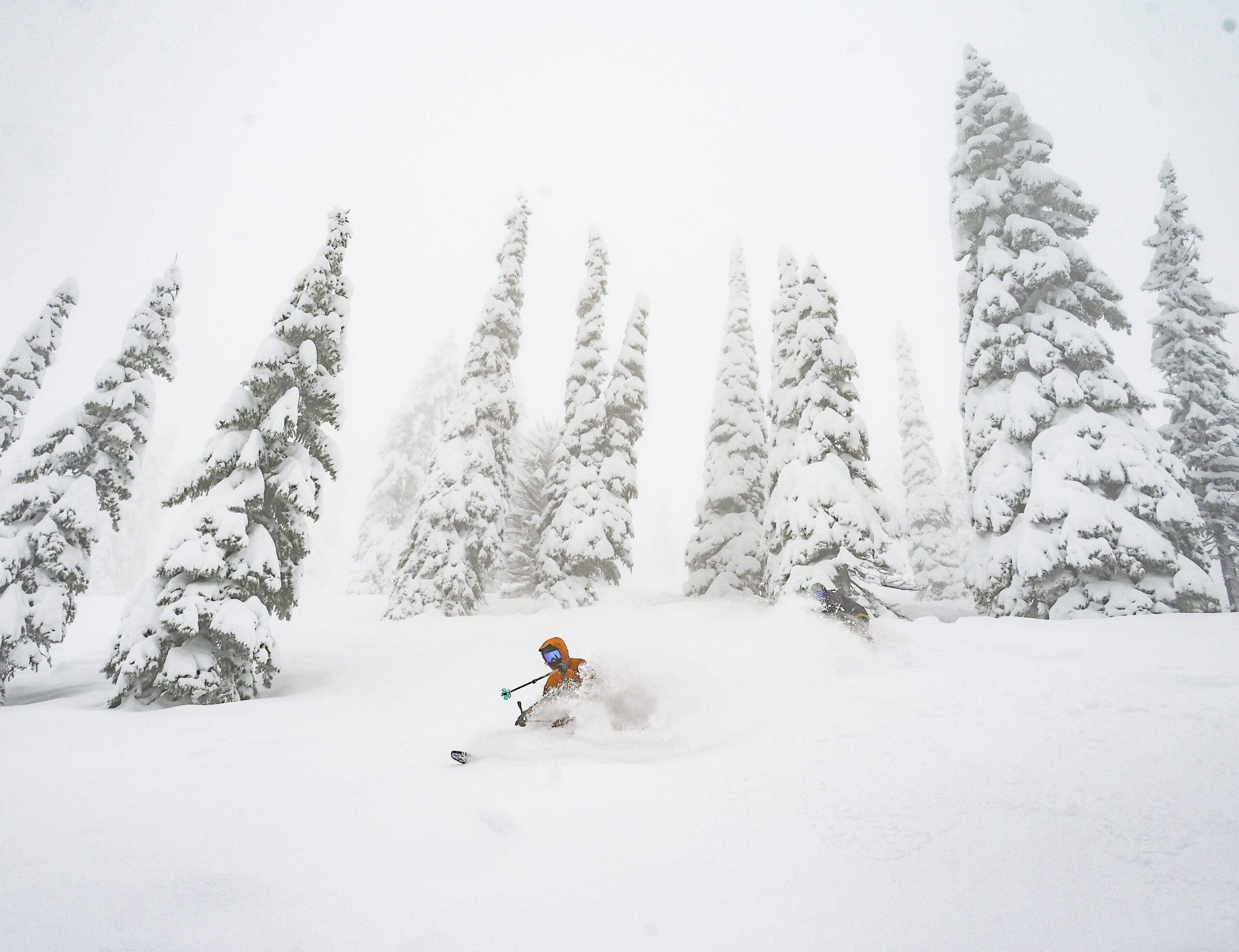 Schweitzer Offers Big Terrain with an Under-the-Radar Vibe | SKI